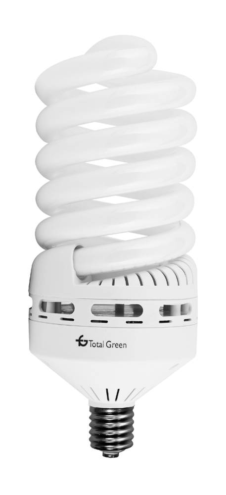 Bec Economic Spirala 100W E40 6400K